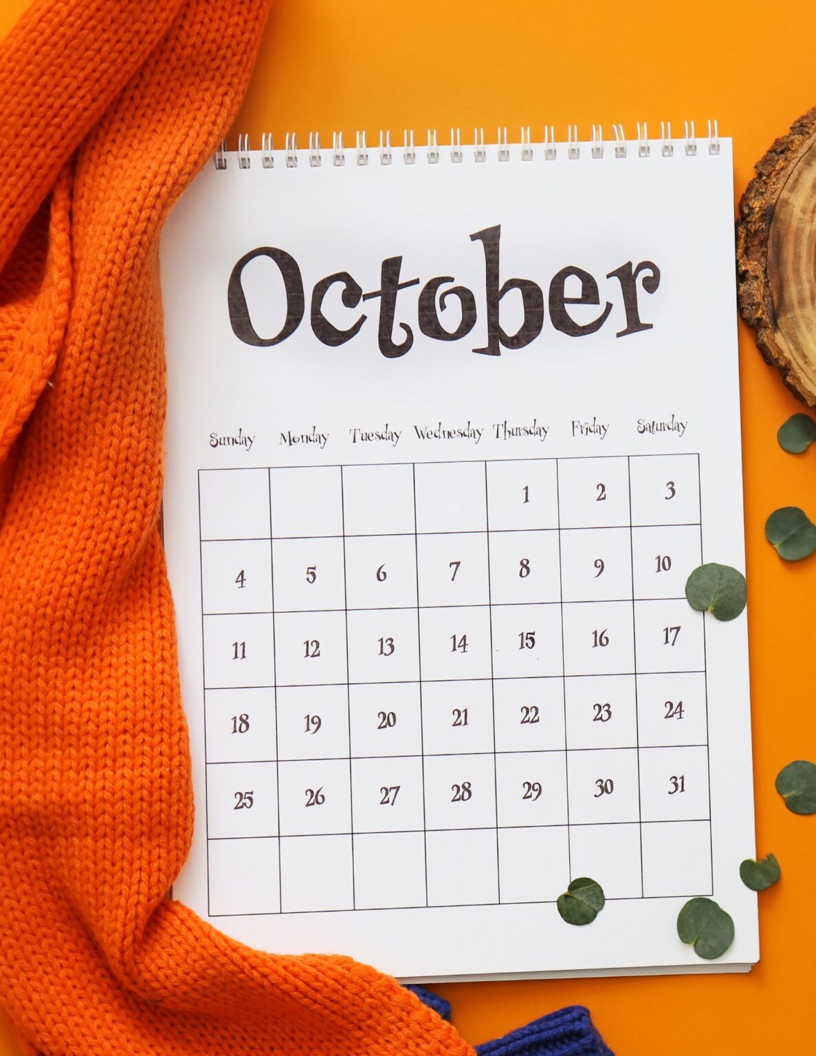 October 2025 Edition - Empowered-Services